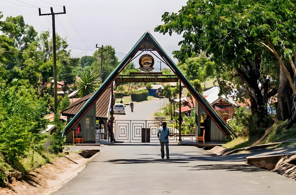 Day trip to Mandara Hut - Green Tours Tanzania