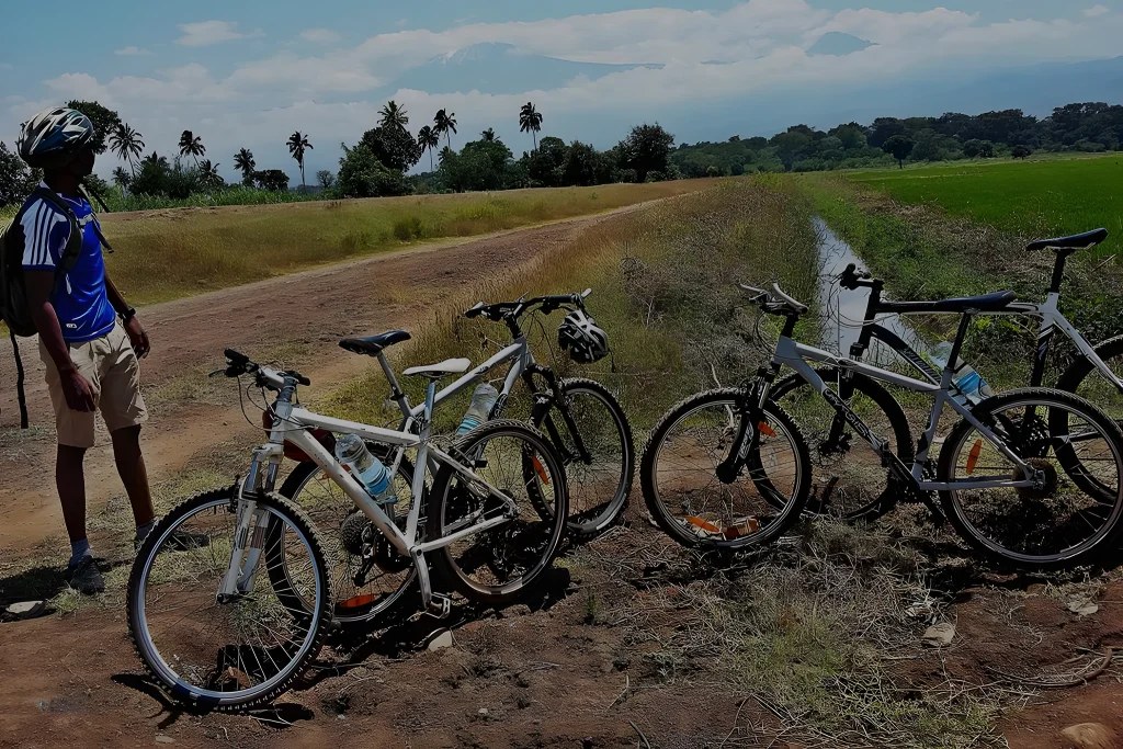 TPC Sugar Cane Plantation - Green Tours Tanzania